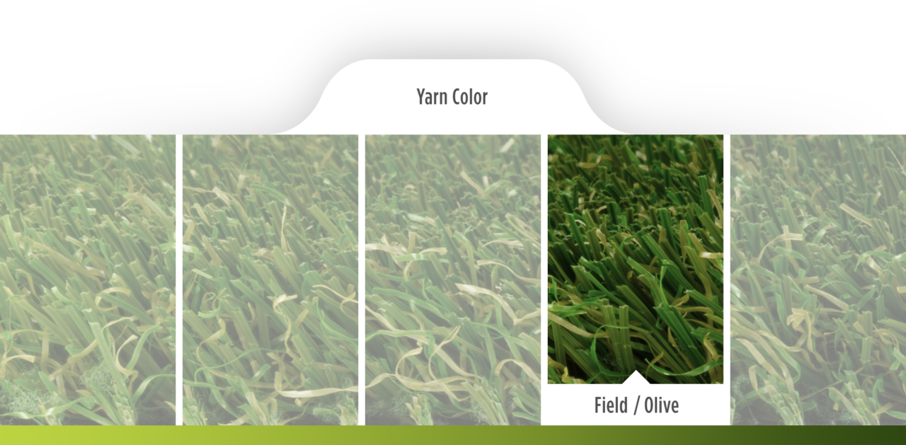 Fescue Blend Series | Realistic Artificial Turf