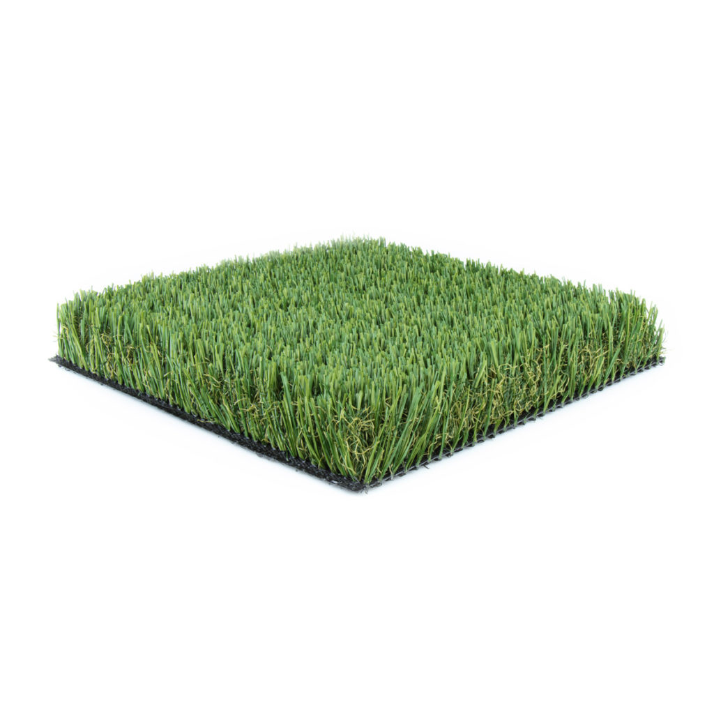 Santa Barbara Blend Pro - TurfHub